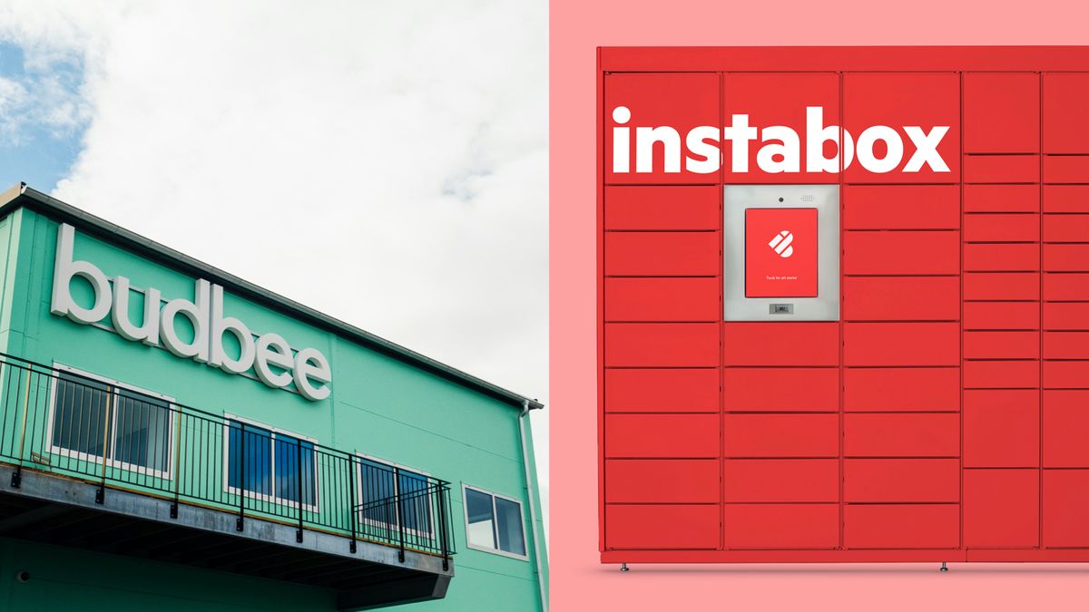 Grönt ljus för Instabee – grundarna tar tunga roller i nya bolaget ...